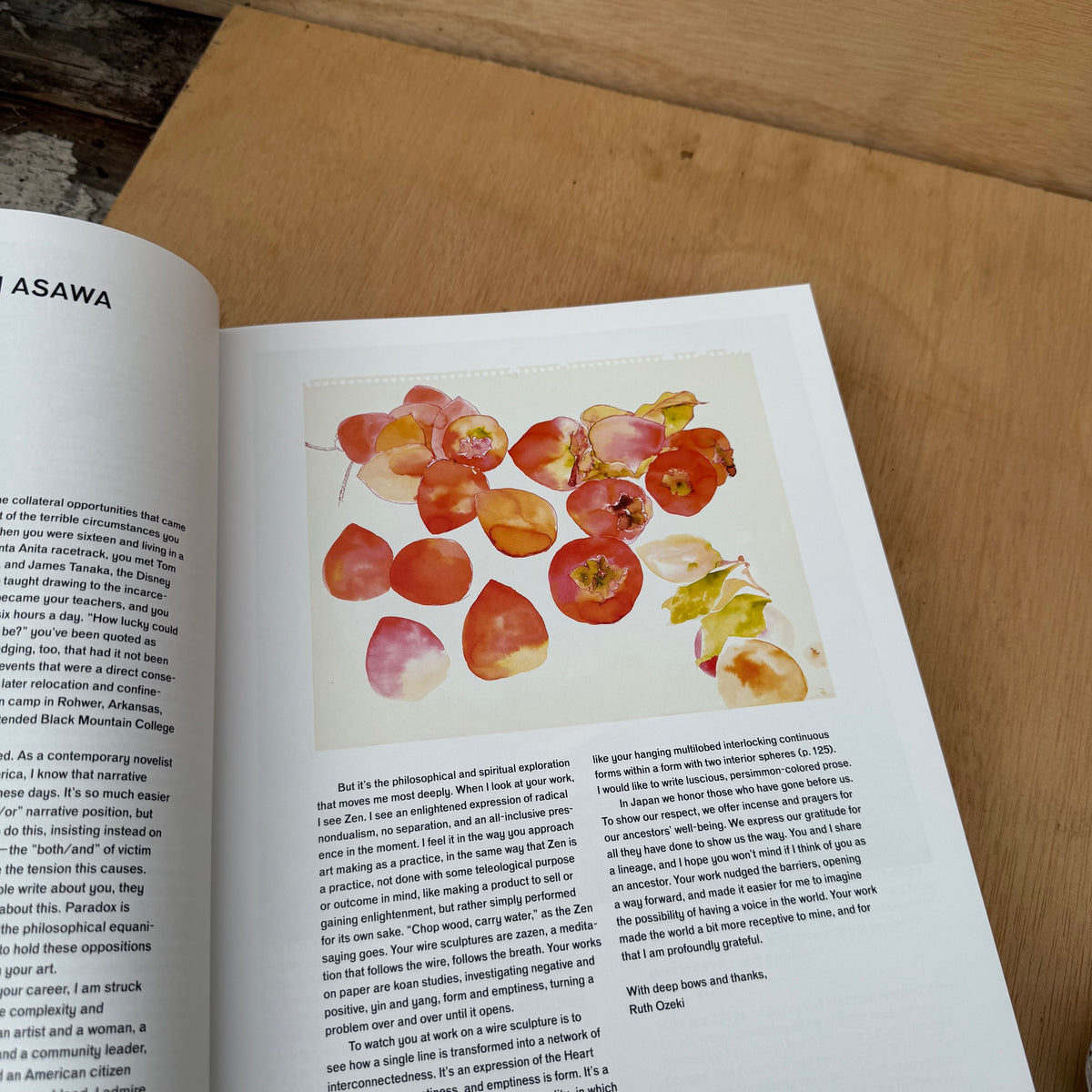 Ruth Asawa Retrospective – Upstate MN