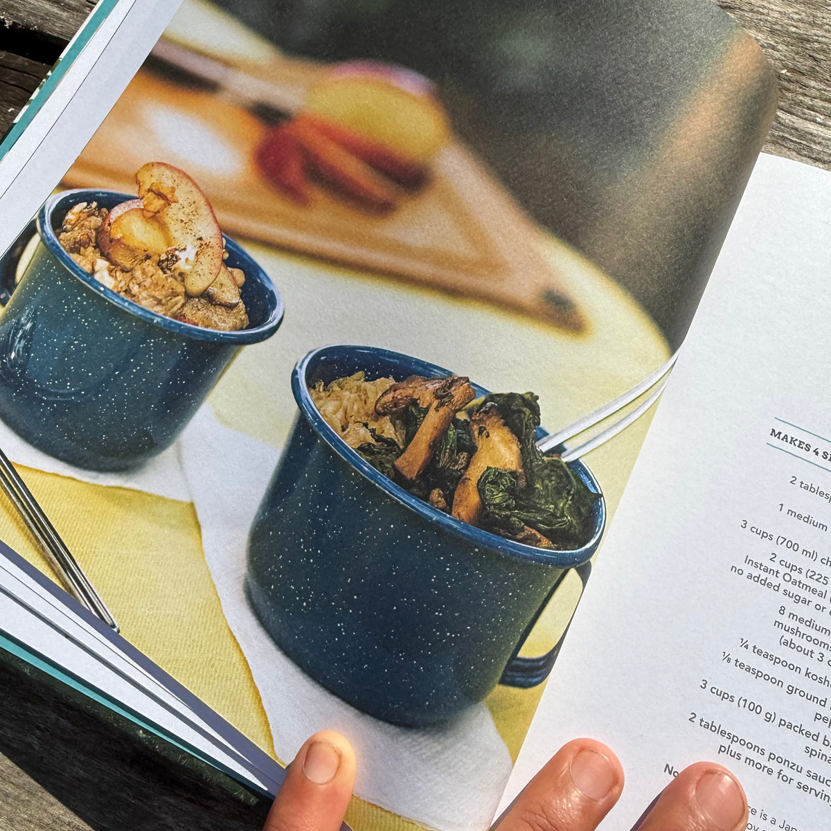 The New Camp Cookbook – Upstate MN